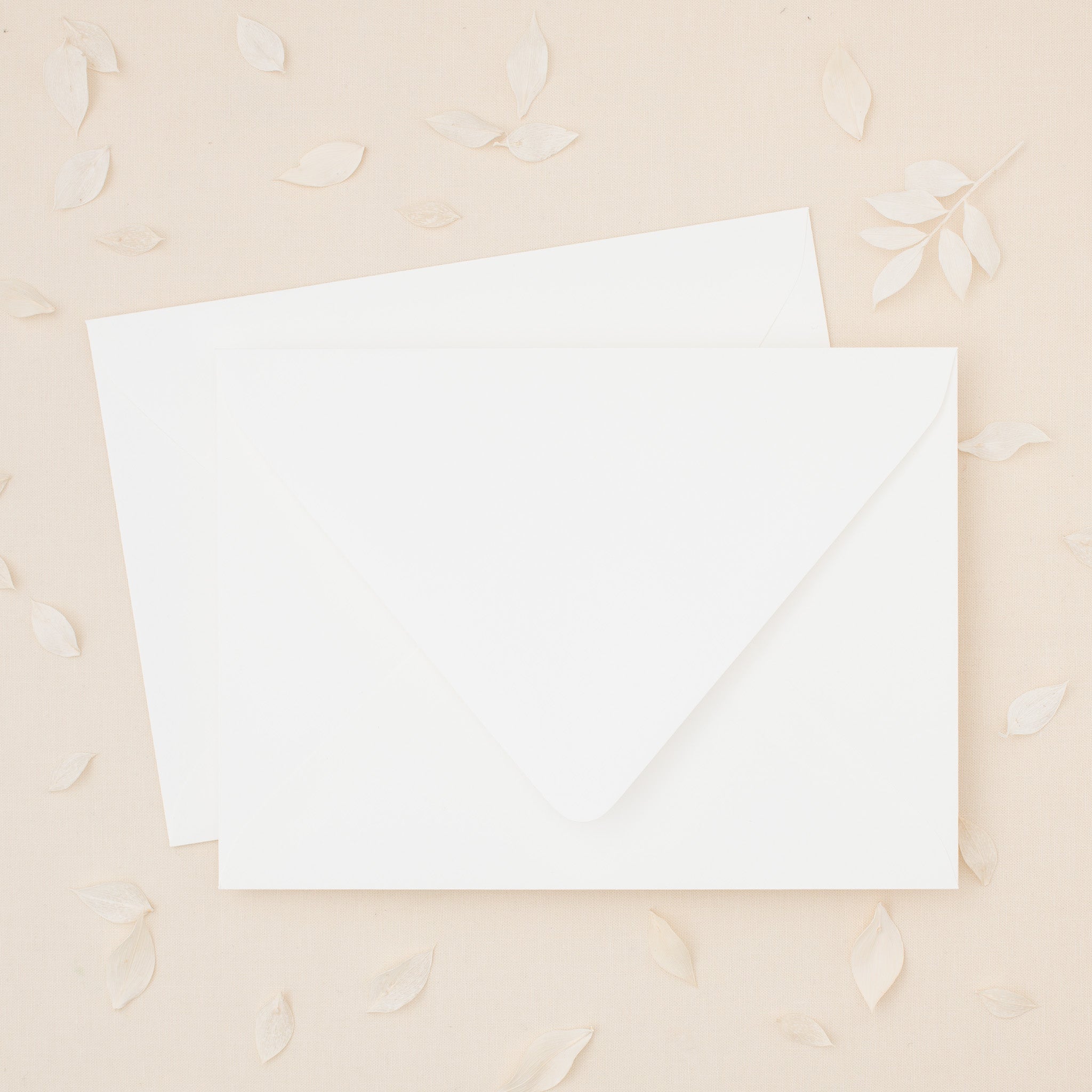 White A7.5 Outer Envelopes (10 Pack)